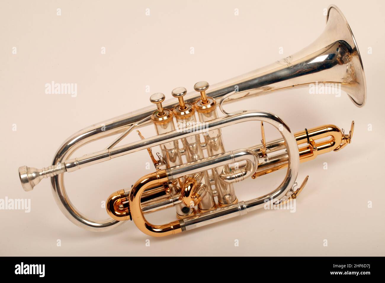 Cornet Instrument Renaissance