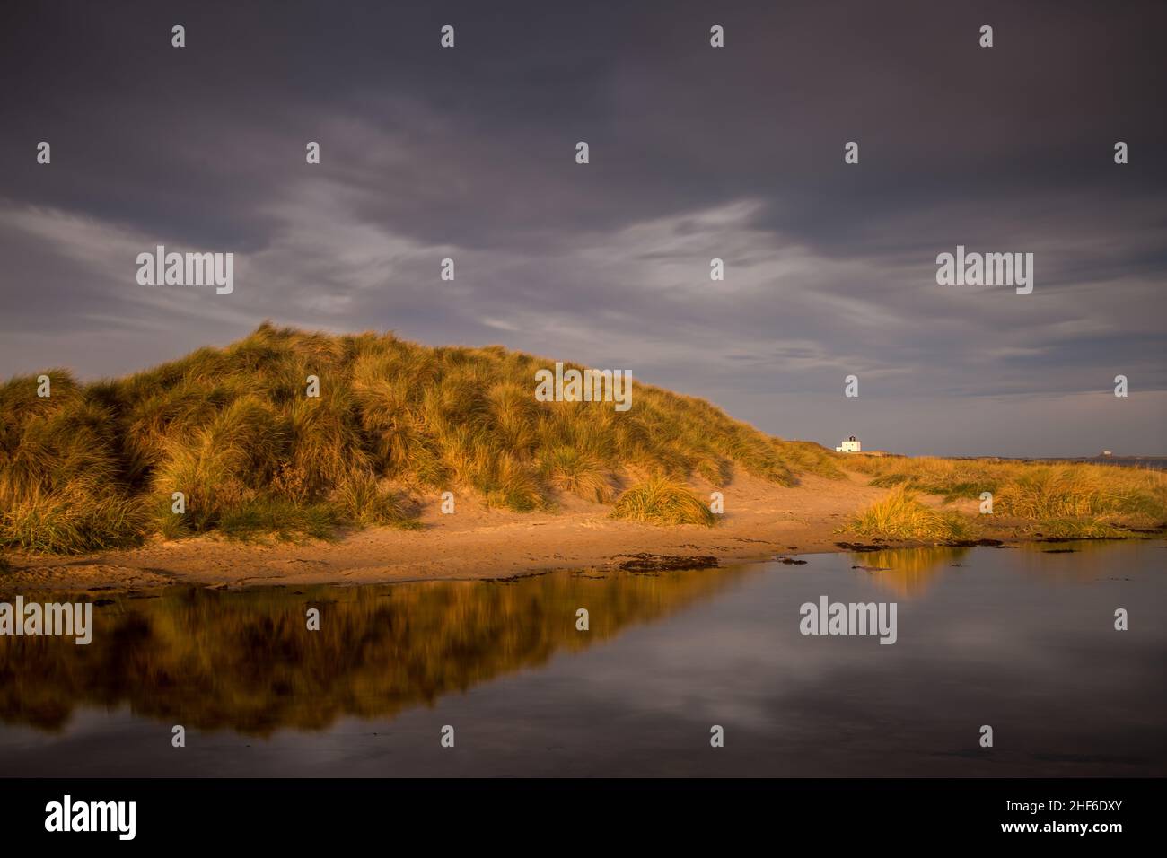 The distinctive box-shaped distant Bamburgh Lighthouse and a sand dune ...