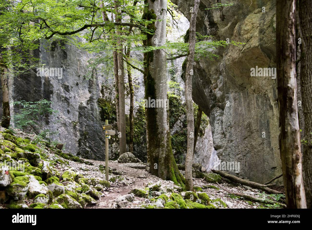 Loue france hiking hi-res stock photography and images - Alamy