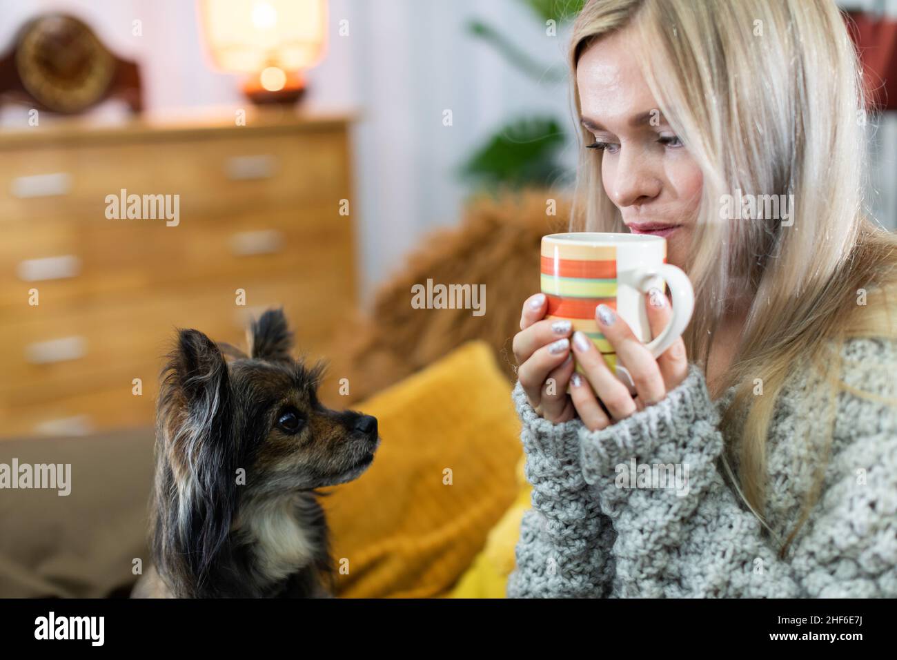 A young woman is drinking tea from a cup and a dog is watching. Close ...