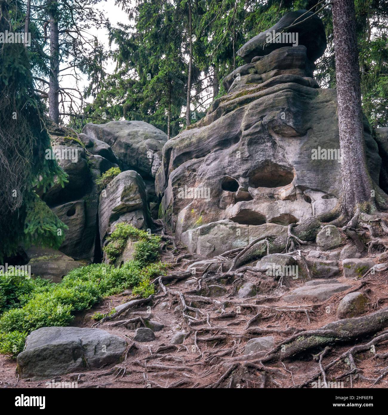 Scary rock called cairn death, Adrspach - Teplice rocks, Czech republic ...