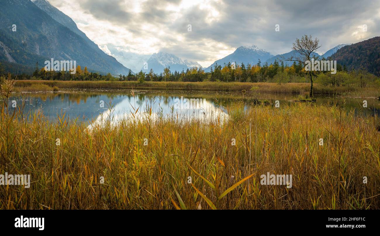 Moor landscape near eschenlohe hi-res stock photography and images - Alamy