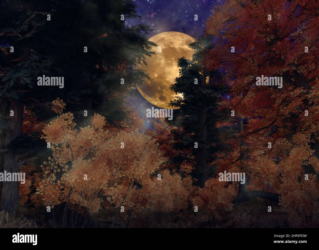 Abstract autumn deciduous forest and full moon at night, 3d ...