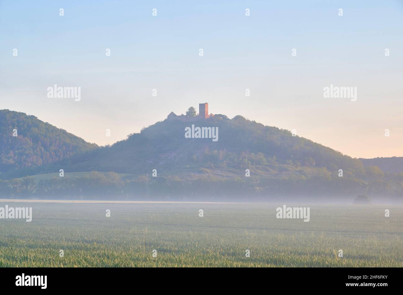 Gleichen Castle, field, fog, dusk, spring, Drei Gleichen, Gotha ...
