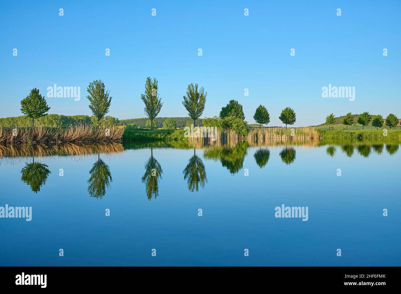 Lake, row of trees, reflection, spring, Drei Gleichen, district Gotha ...