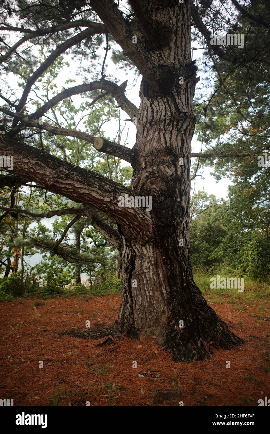 Coastal walking path around Rance river estuary - Dinard - Saint Servan ...