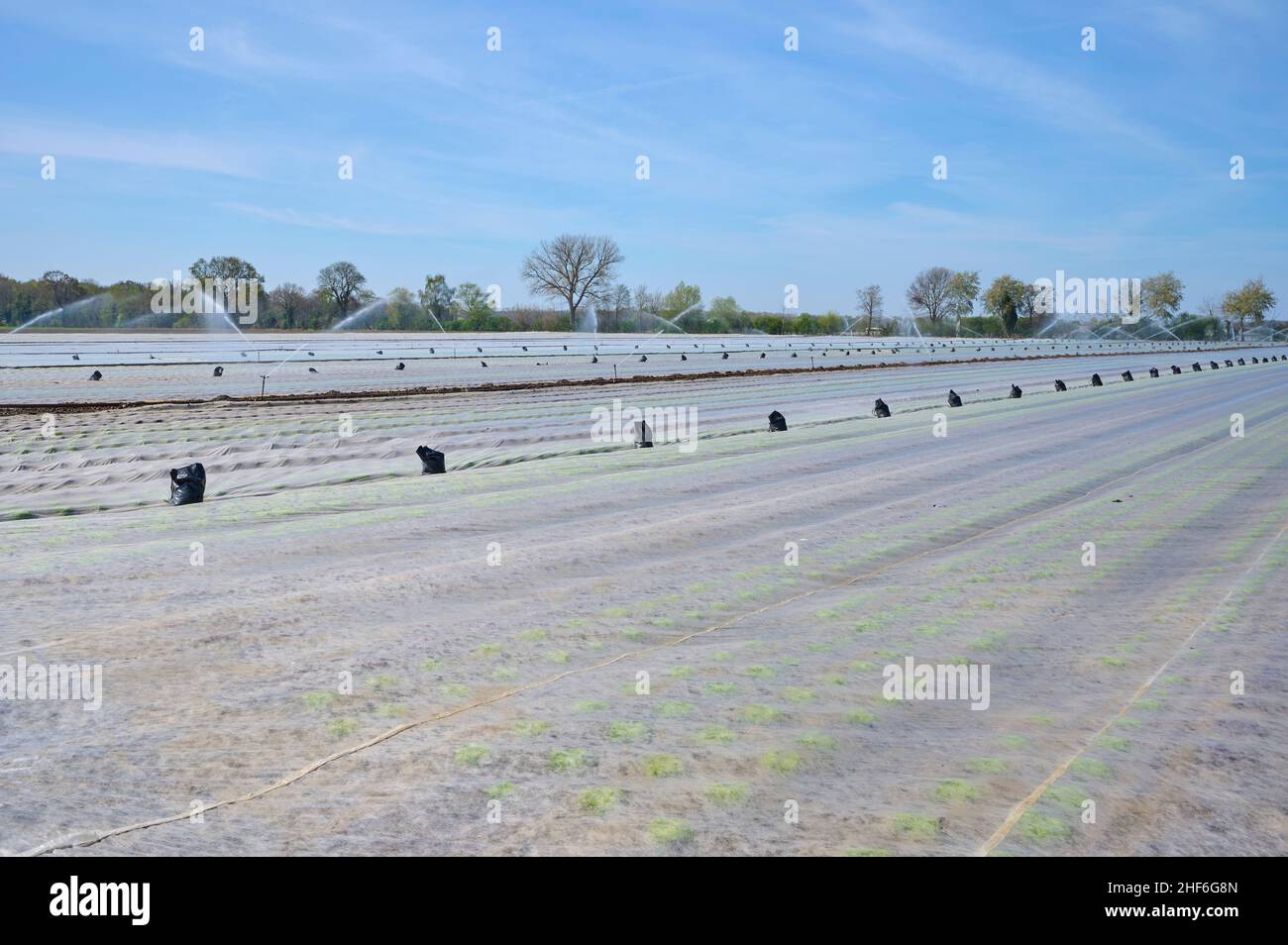 Cultivation spring hi-res stock photography and images - Alamy