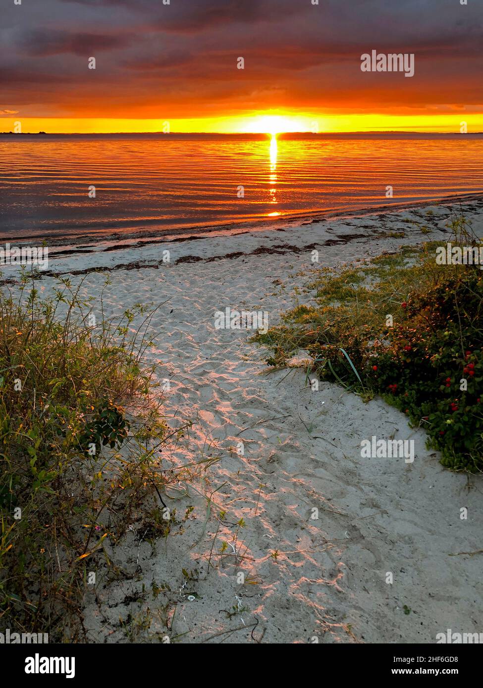 West Fynes High Resolution Stock Photography and Images - Alamy