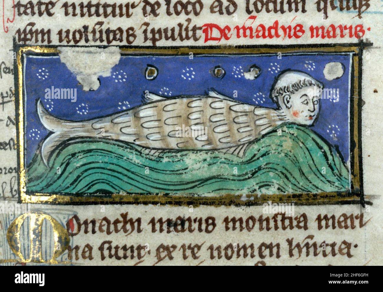 Sea Monk Thomas of Cantimpré Stock Photo - Alamy