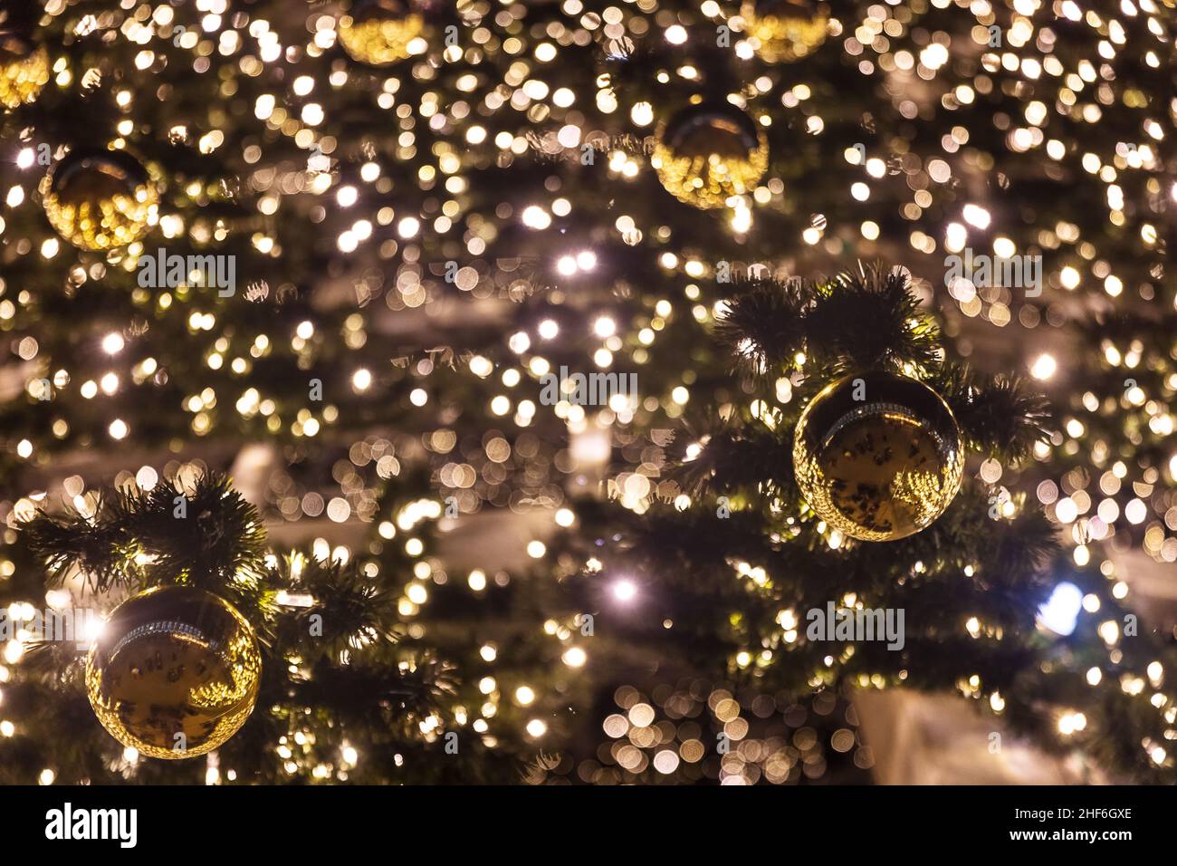 Christmas tree in the park, Decorated with lights Stock Photo - Alamy
