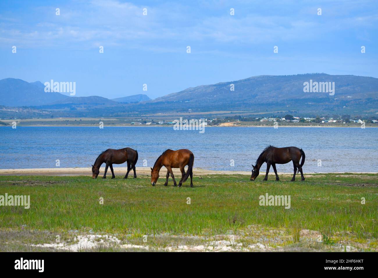 Rooisand nature reserve hi-res stock photography and images - Alamy