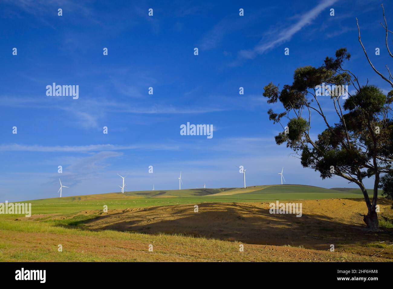 Wind power south africa hi-res stock photography and images - Alamy