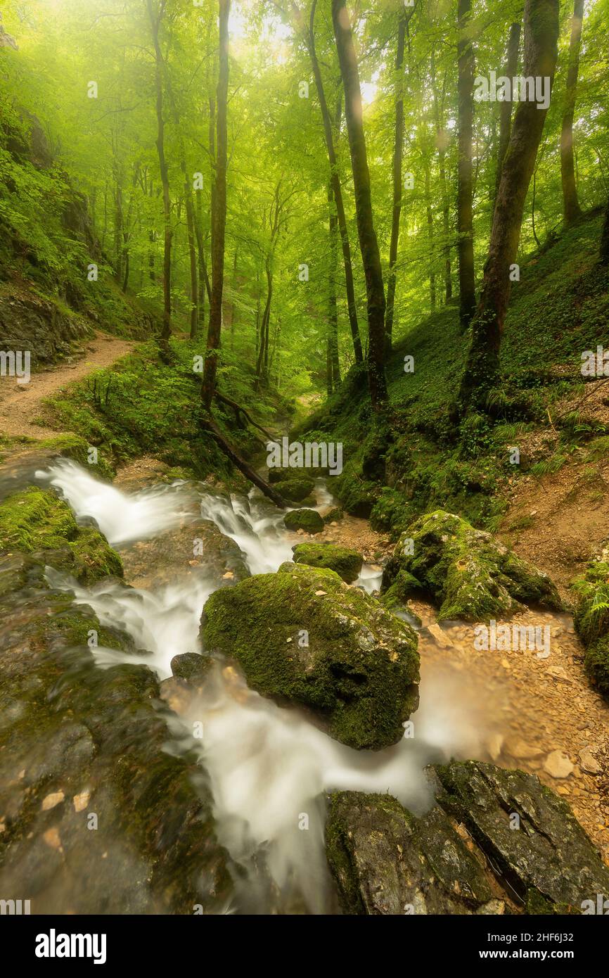 Stream in heavy rain on the Swabian Alp - nature Stock Photo - Alamy