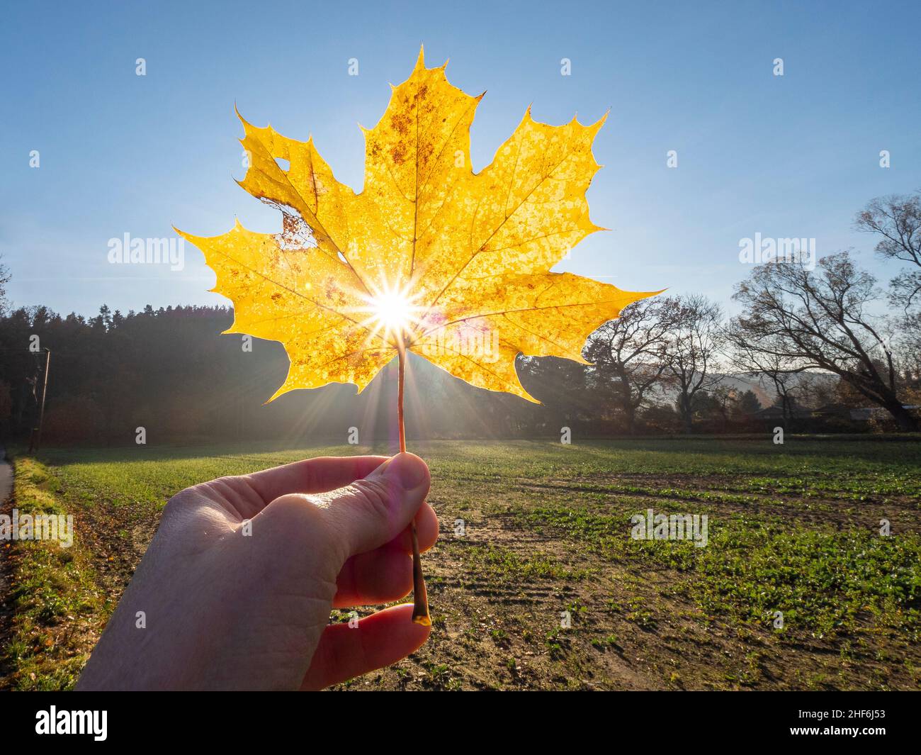 Human being walk hi-res stock photography and images - Alamy