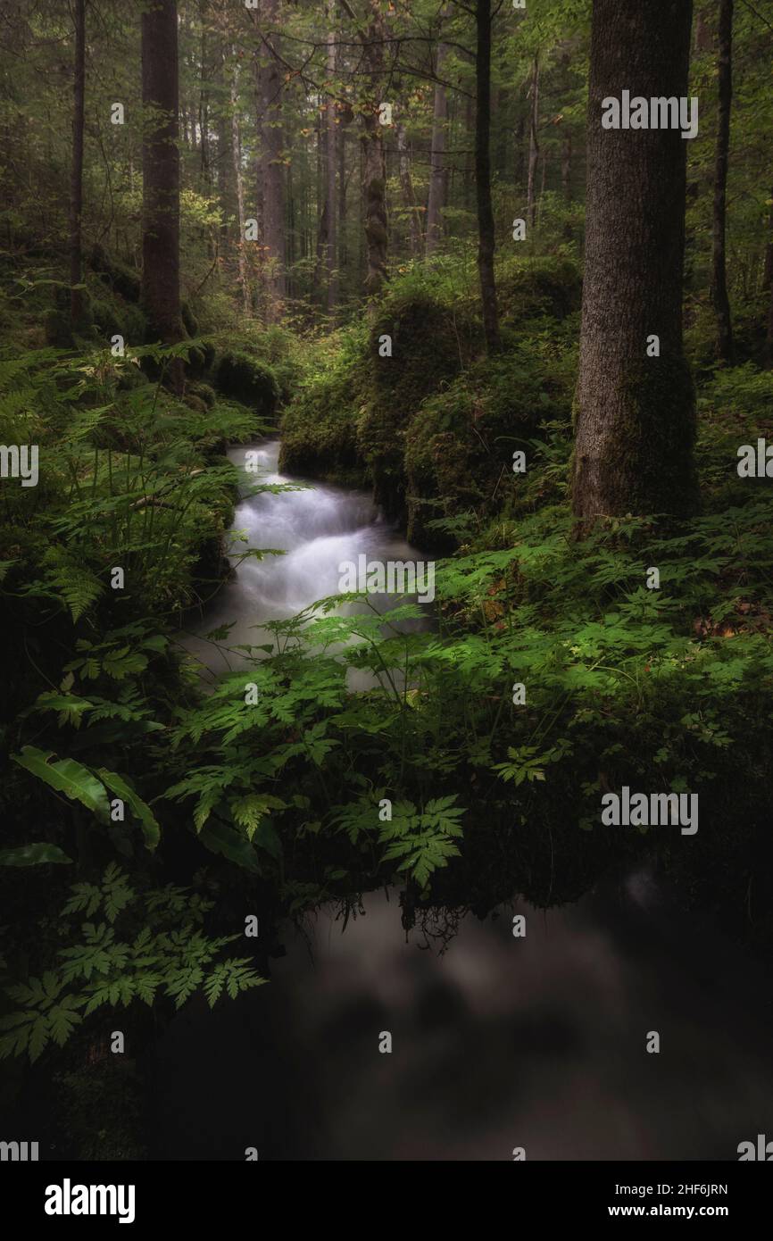 Stream in upper bavaria small hi-res stock photography and images - Alamy