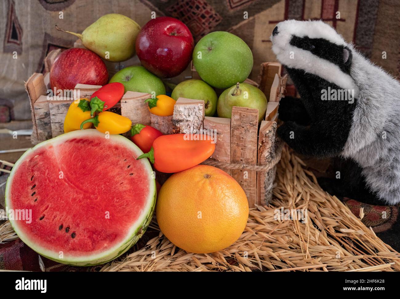 Badger close up hi-res stock photography and images - Alamy