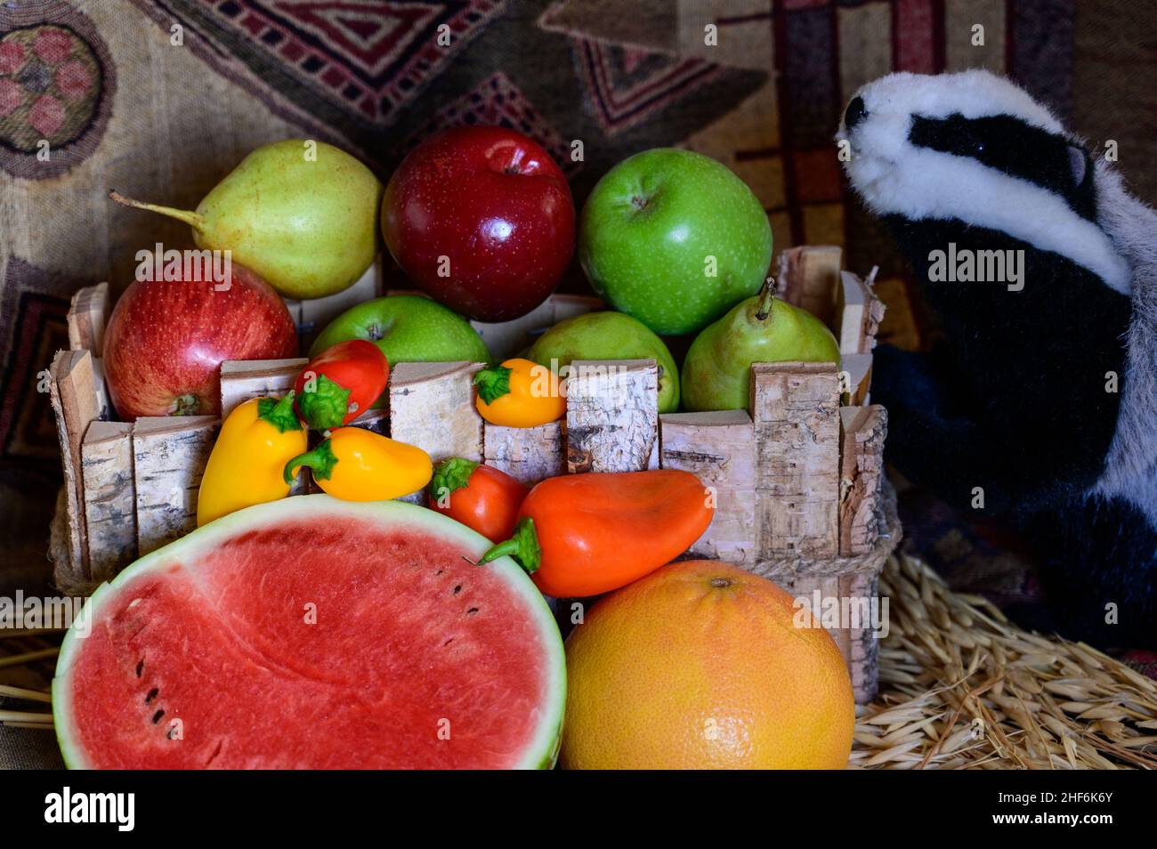 Badger close up hi-res stock photography and images - Alamy