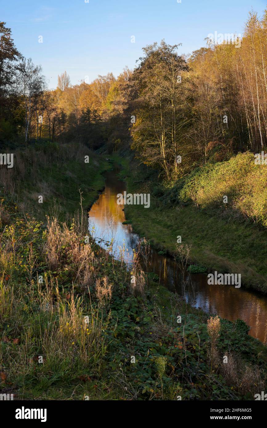 Bottrop, North Rhine-Westphalia, Germany, renatured Boye in autumn, the ...
