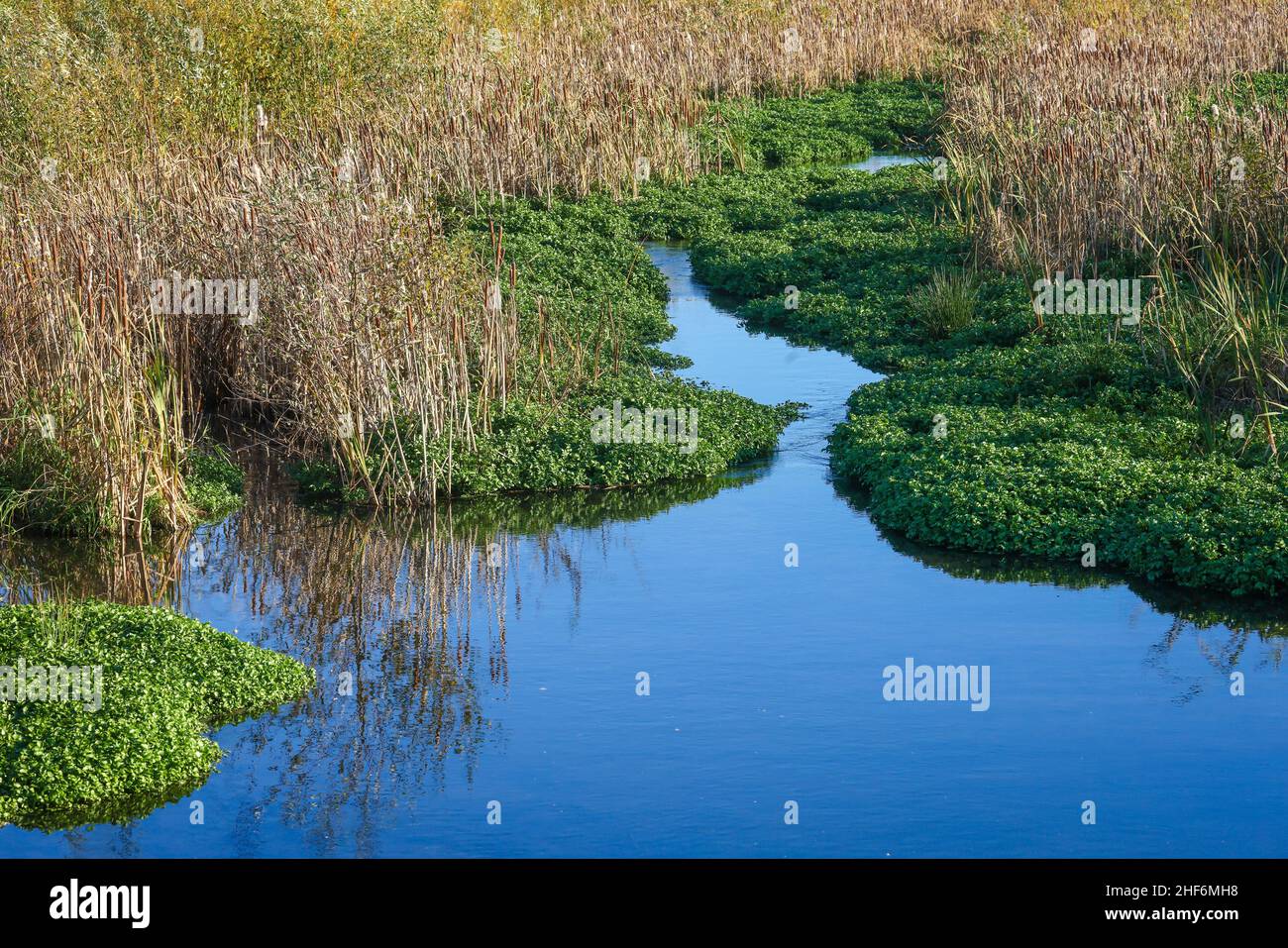 Bottrop, North Rhine-Westphalia, Germany, renatured Boye in golden ...