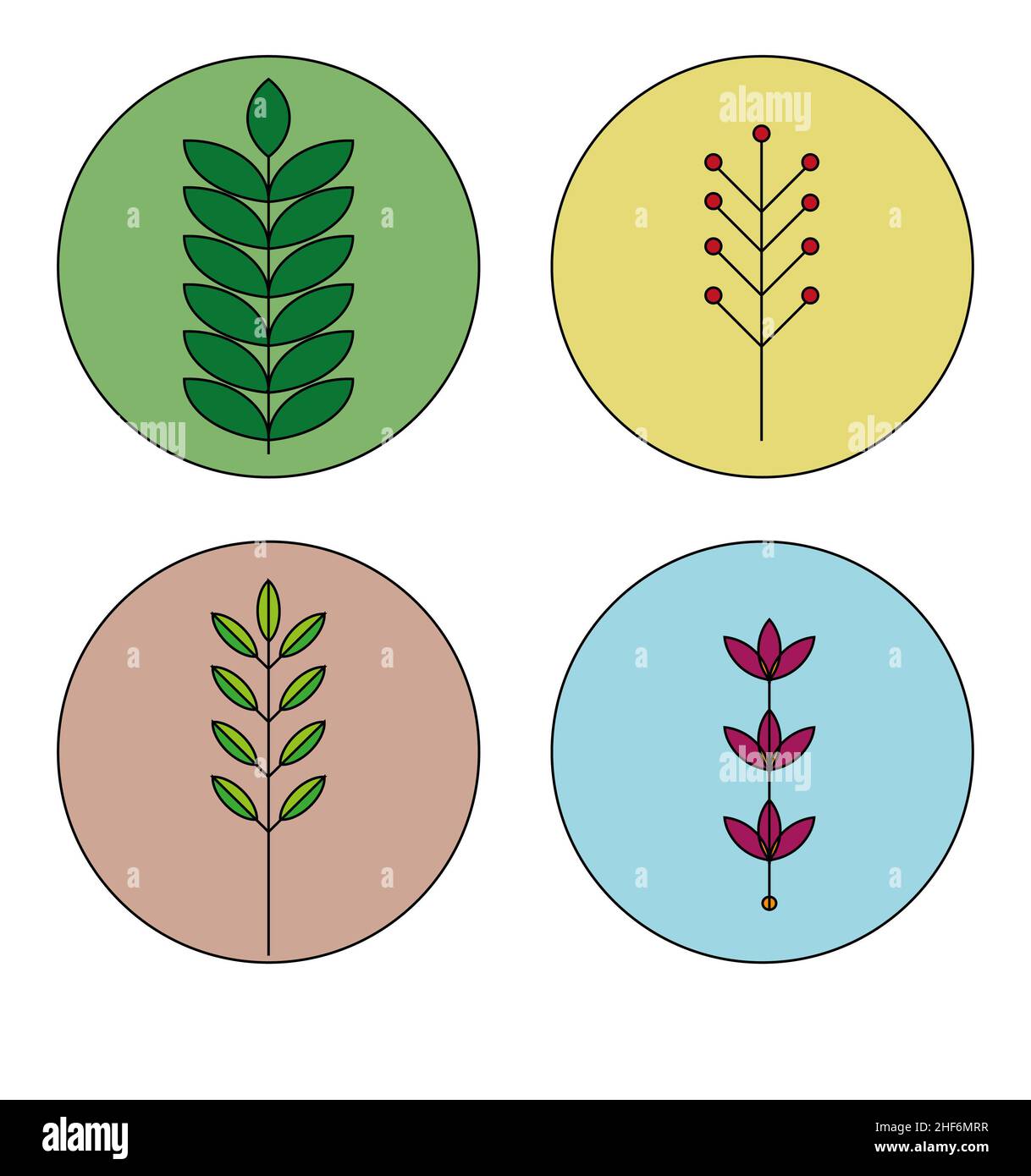 Set of abstract plants. Silhouette. Collection hand drawn, botanical ...