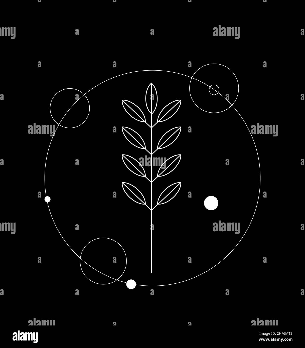 Abstract plants.Silhouette.Collection hand drawn, botanical and healing ...