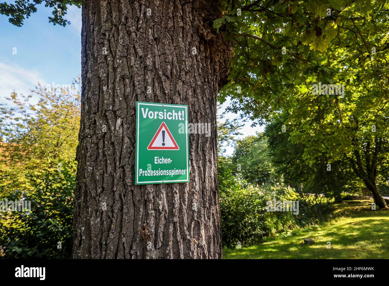 Datteln, North Rhine-Westphalia, Germany, caution oak processionary ...