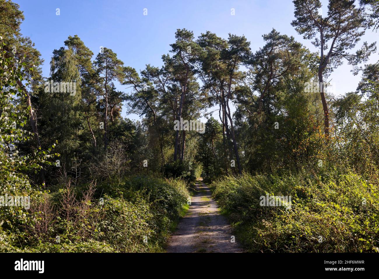 Datteln, North Rhine-Westphalia, Germany, Lippe, river and floodplain ...