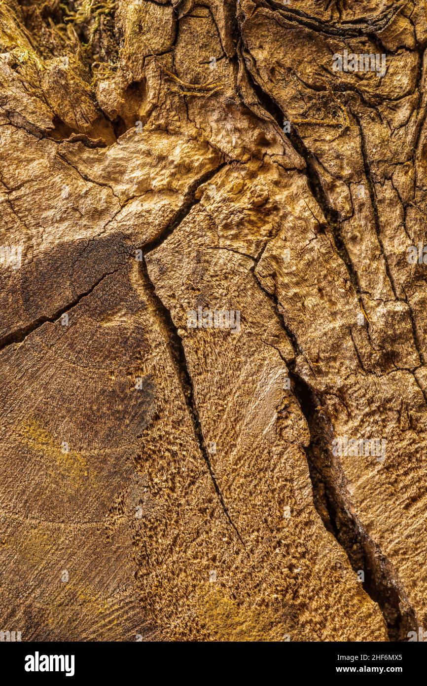 Old format hi-res stock photography and images - Alamy