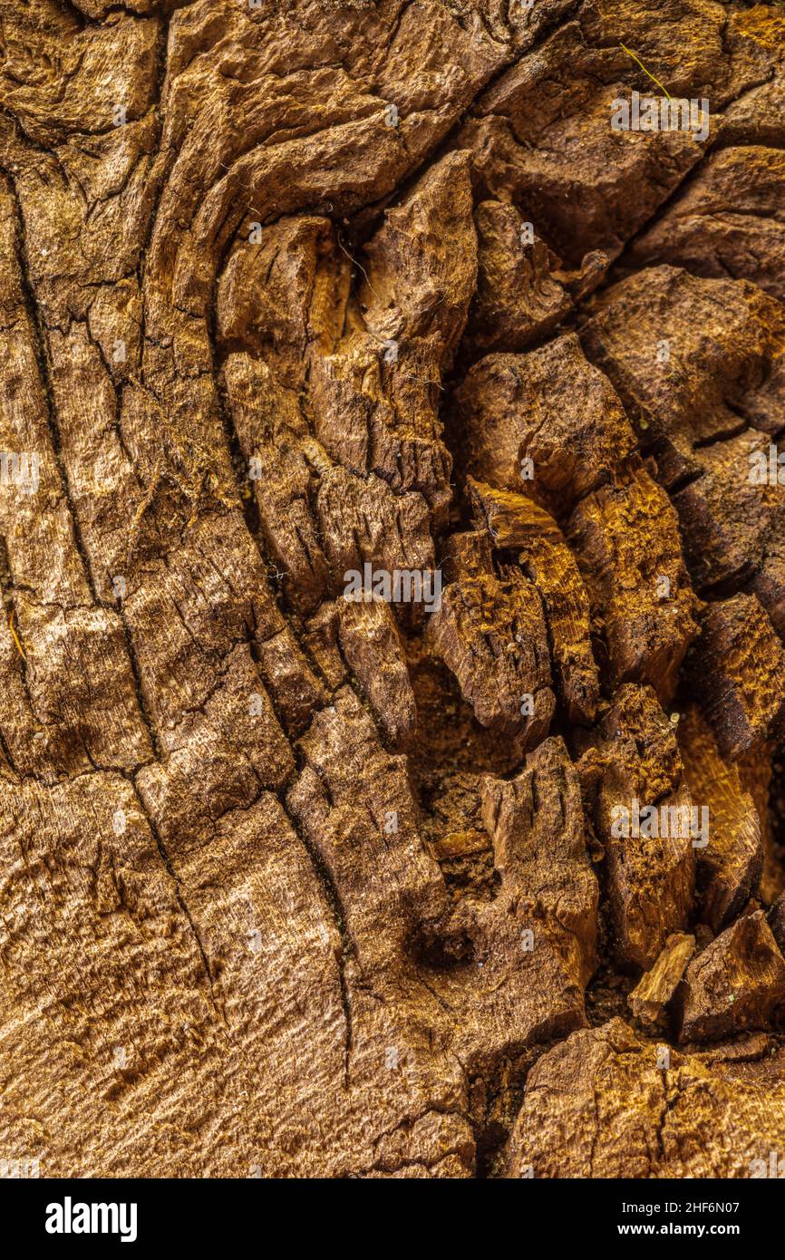 Old format hi-res stock photography and images - Alamy