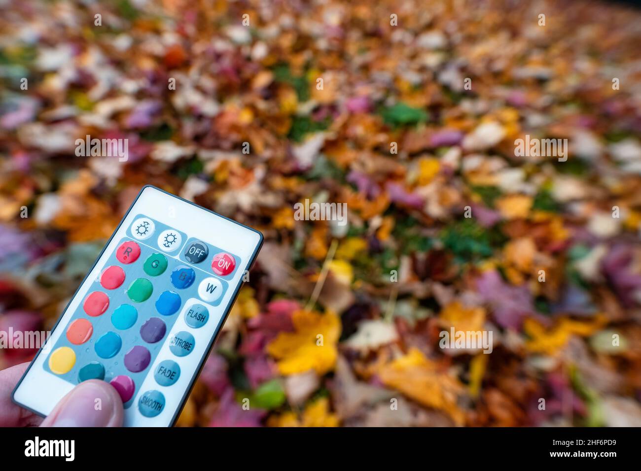 Holding a remote control outdoor over a colorful field of leaves in the ...