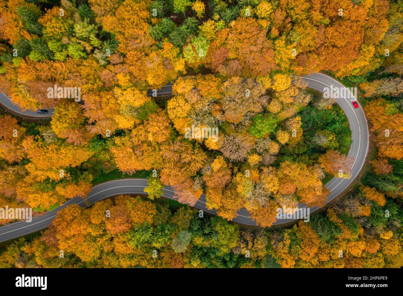 Having a trip in the autumn season, driving by car through the ...