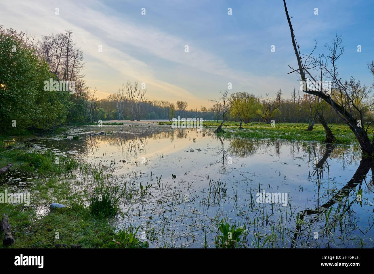 Riparian habitats hi-res stock photography and images - Alamy