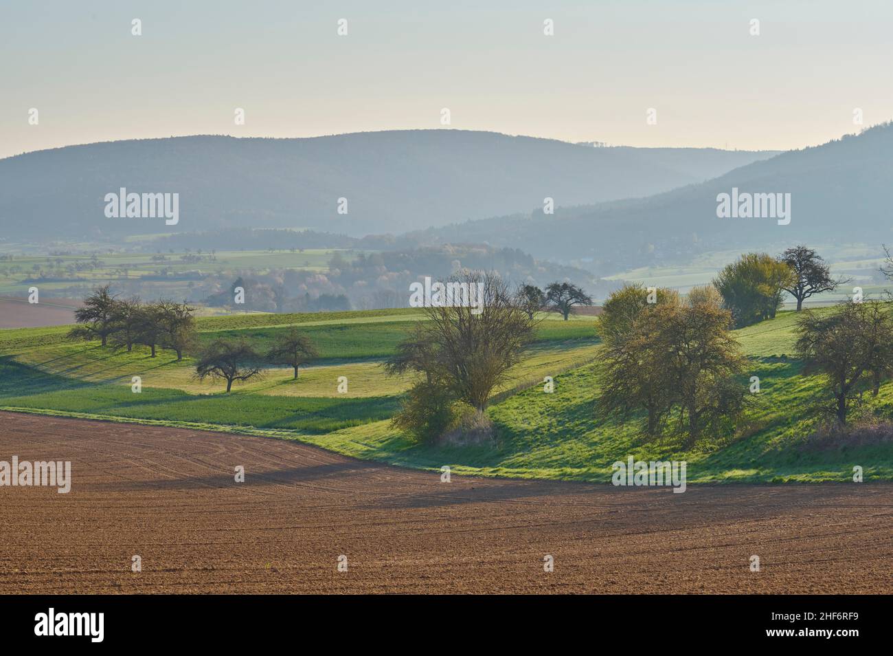 Field landscape with trees hi-res stock photography and images - Alamy