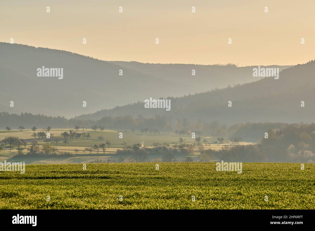 Field landscape with trees hi-res stock photography and images - Alamy