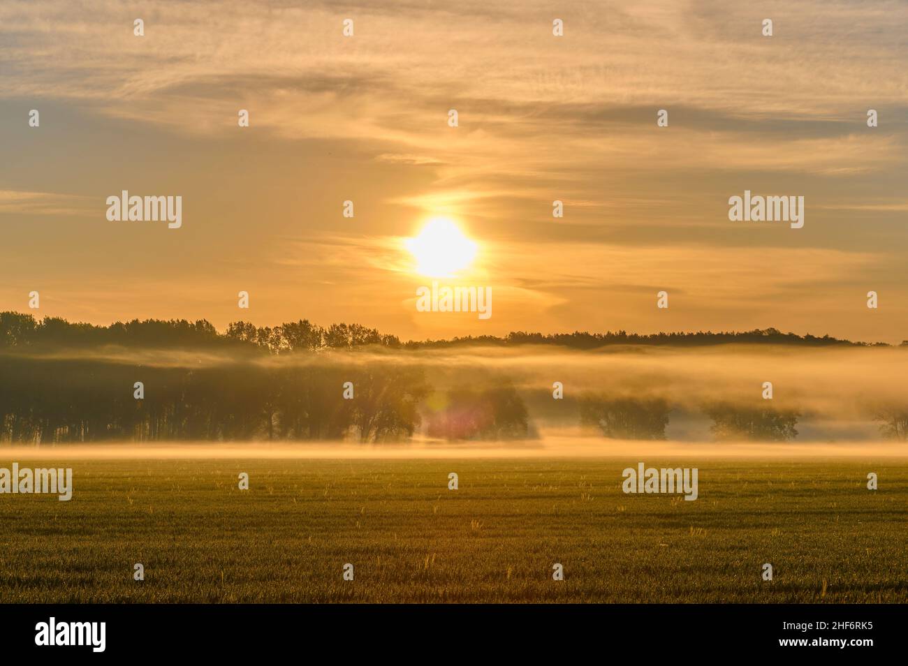 Field landscape, forest, tree, fog, sunrise, spring, Drei Gleichen ...