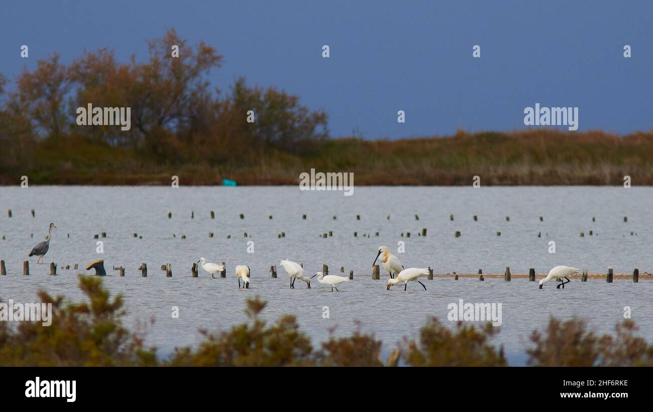 Greece, Greek islands, Ionian islands, Corfu, southeast of the island ...