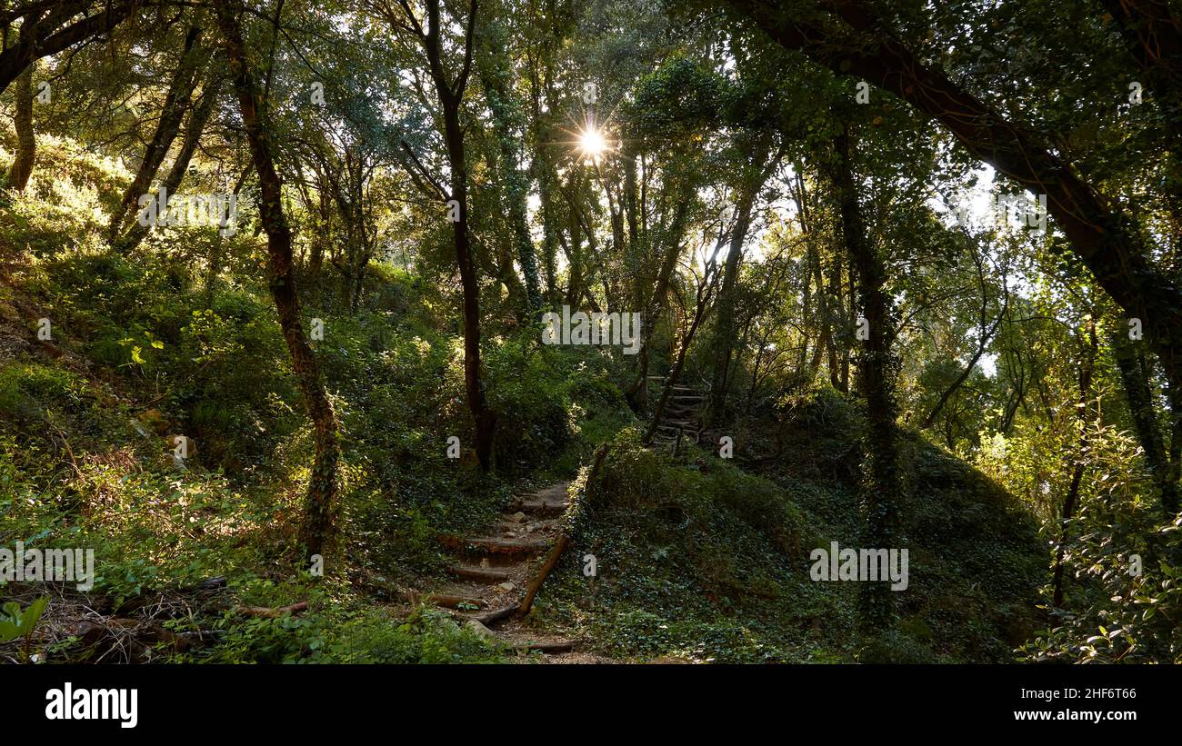 Greece, Greek Islands, Ionian Islands, Corfu, north of the island ...