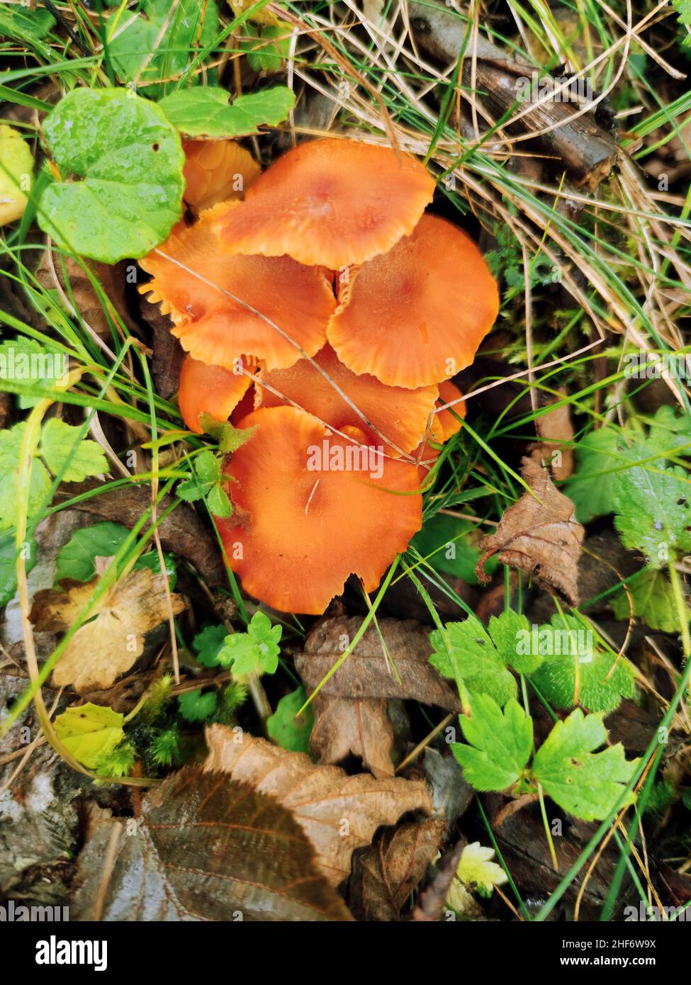 Damp floor hi-res stock photography and images - Alamy