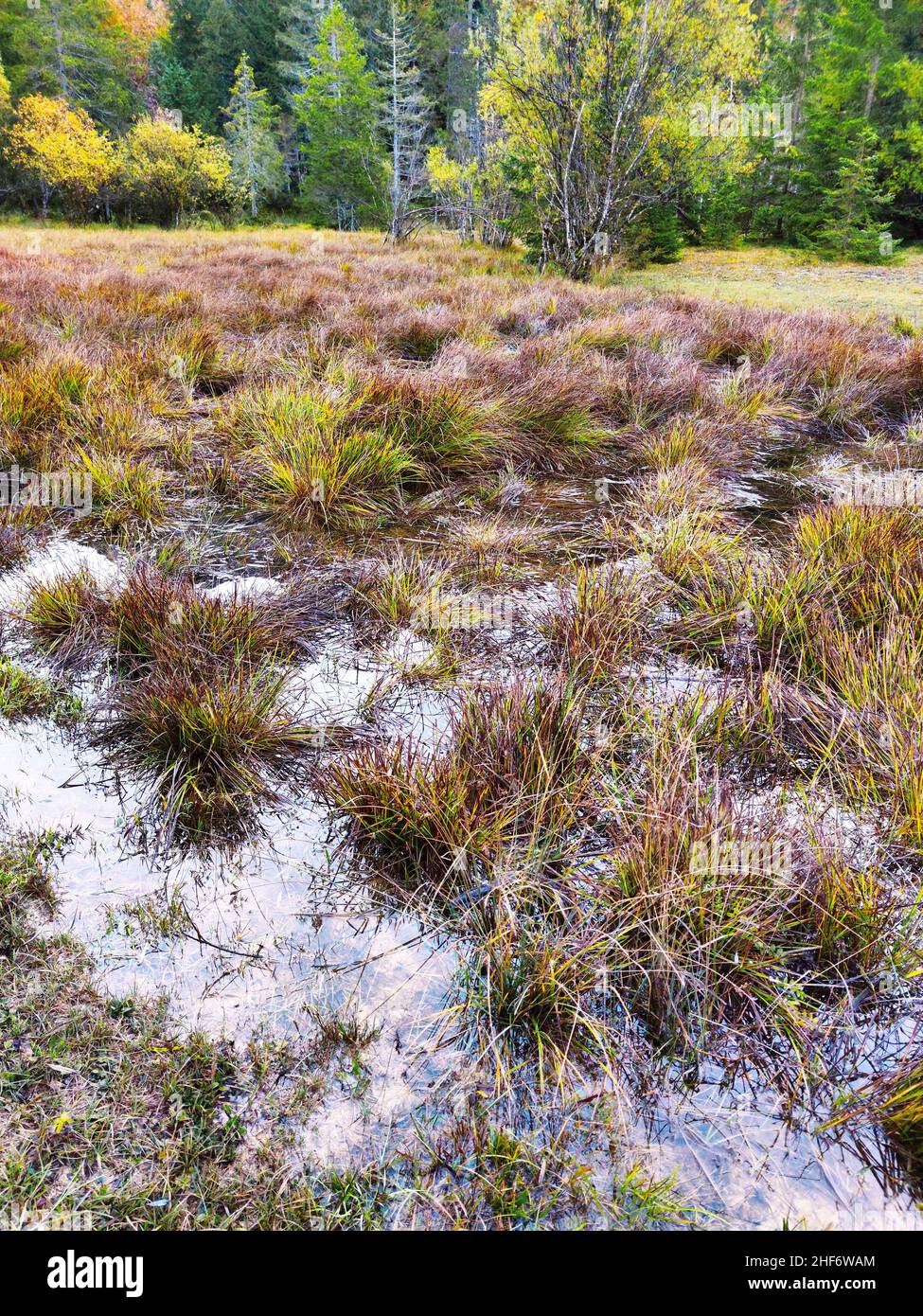 Upper Isar Valley, Isar, wetlands, Isar reservoir region Stock Photo ...