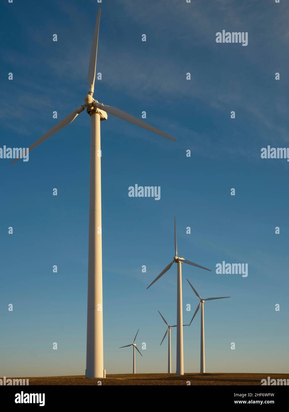 Wind turbines near the town of condon hi-res stock photography and ...