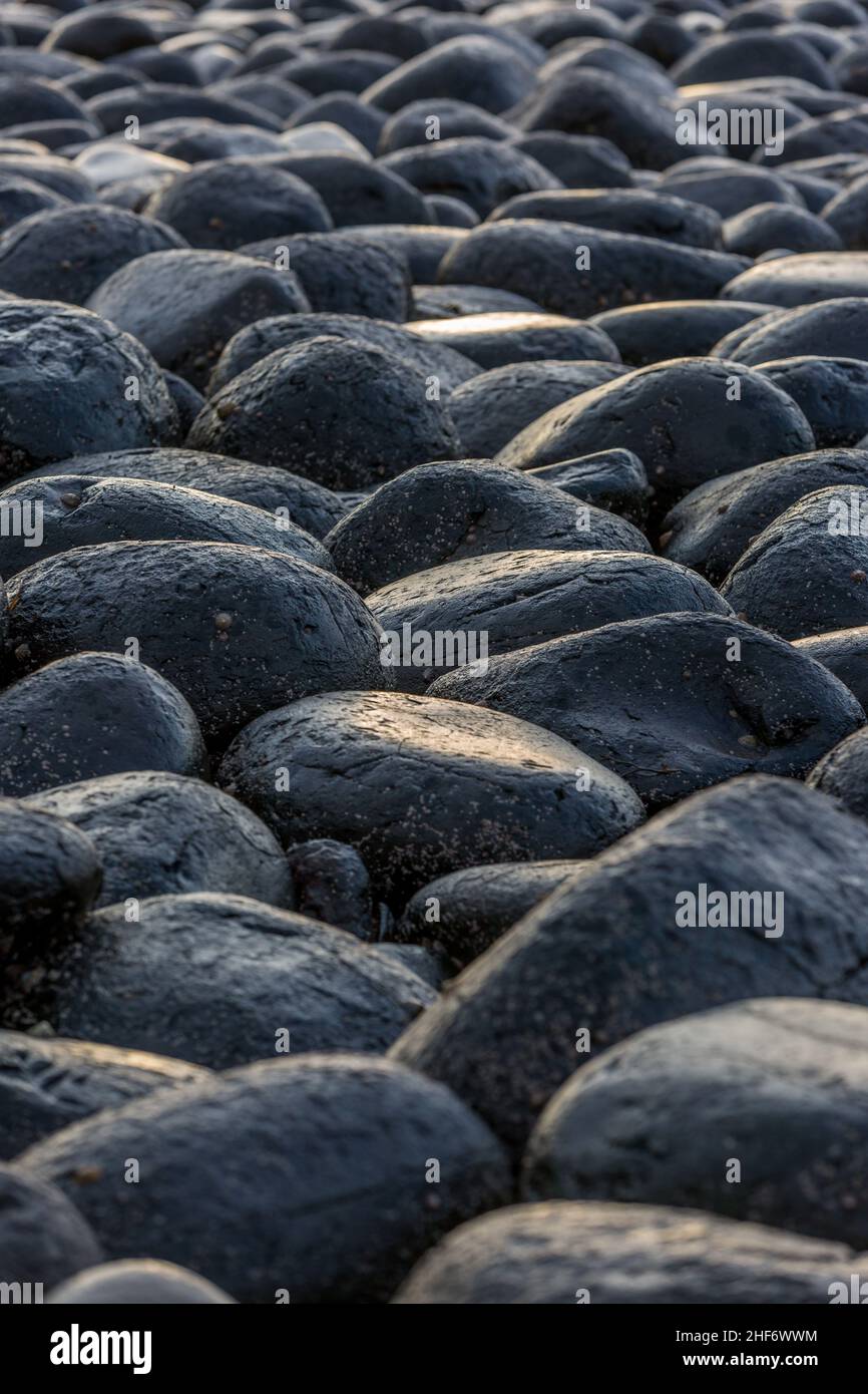 A close-up of the famous & very slippery black boulders at Dunstanburgh ...