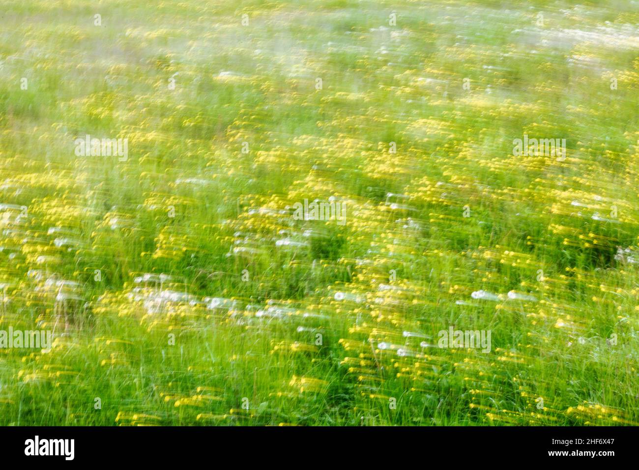 Fractal photography hi-res stock photography and images - Alamy