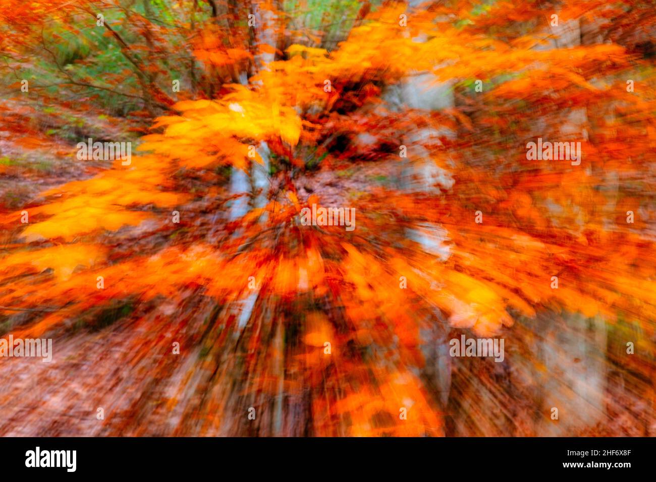 Blast of colors hi-res stock photography and images - Alamy