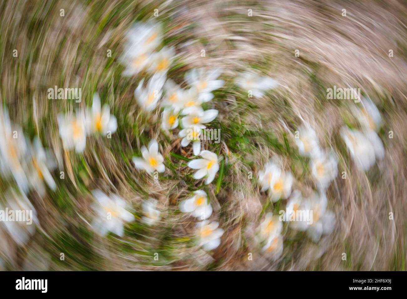 Image rotation hi-res stock photography and images - Alamy