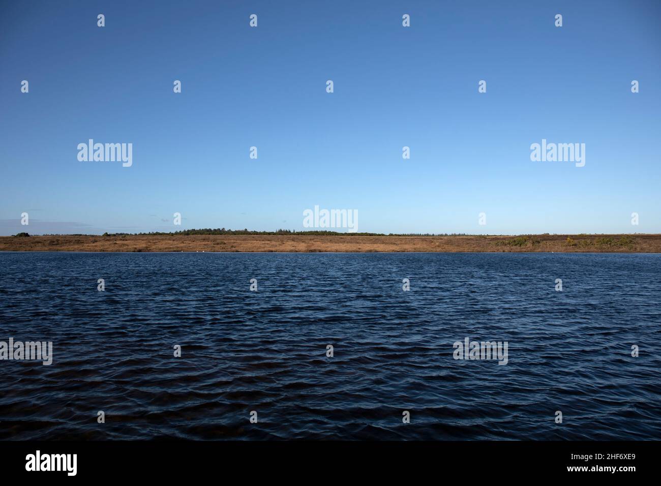 Water/Pond, Heathland, Woodland, New Forest Landscape Stock Photo - Alamy