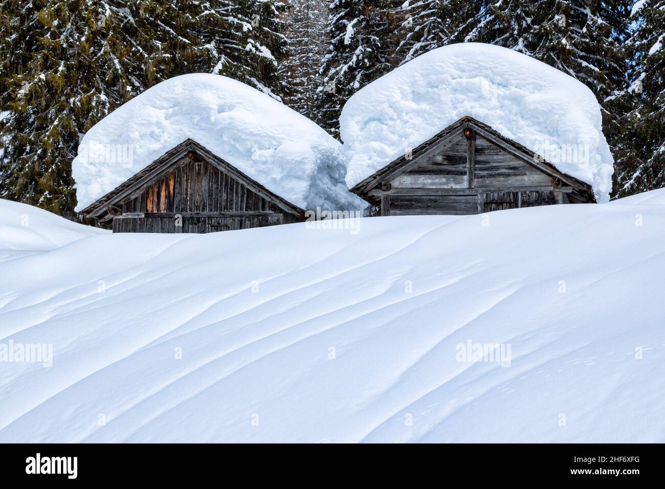 Two log cabins among the trees in a snowy woodland, Lorenzago di Cadore ...