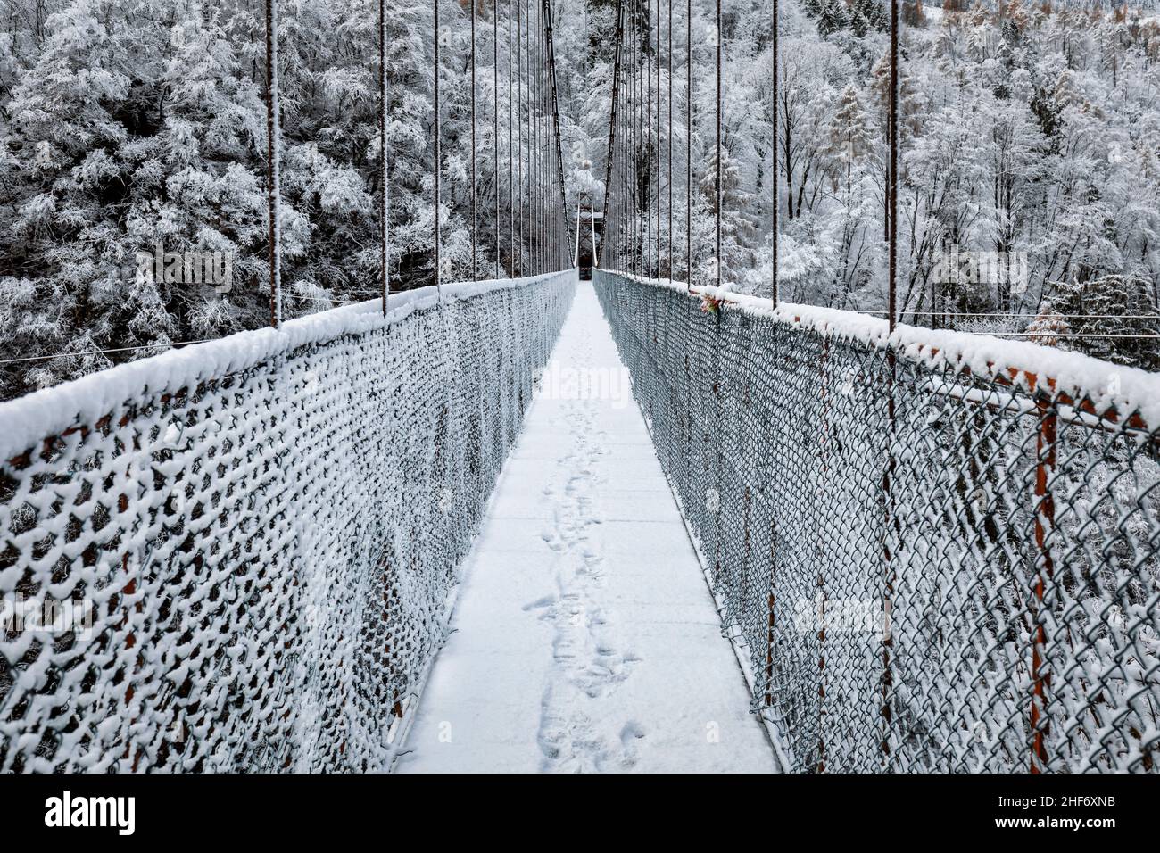 Italy, Veneto, Belluno, municipality of Longarone, snow on the ...