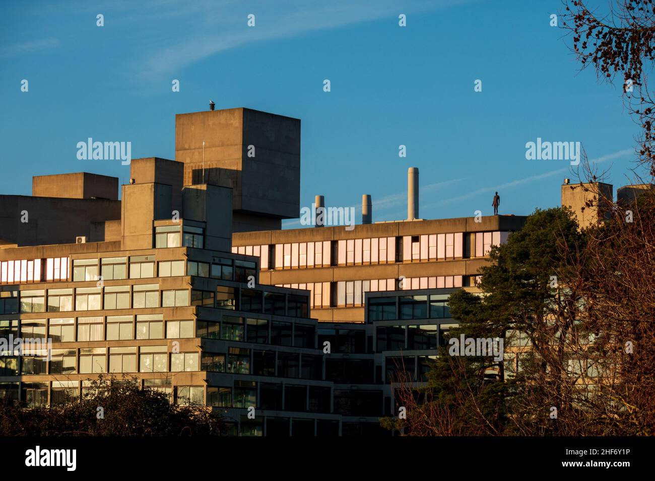Gormley sculpture UEA roof Stock Photo - Alamy