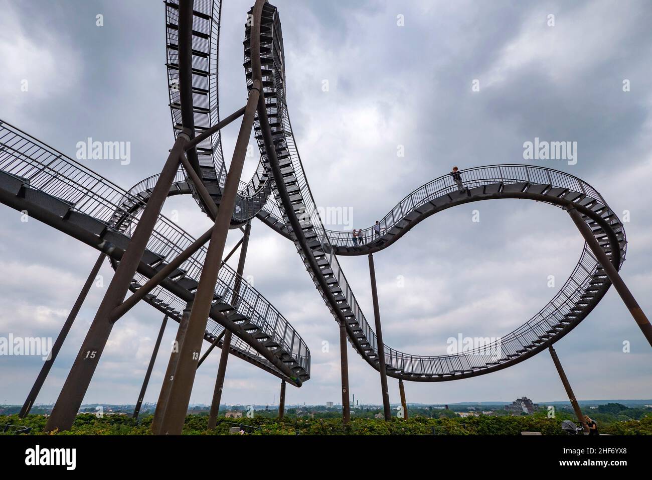 Tiger and turtle magic mountain hi-res stock photography and images - Alamy