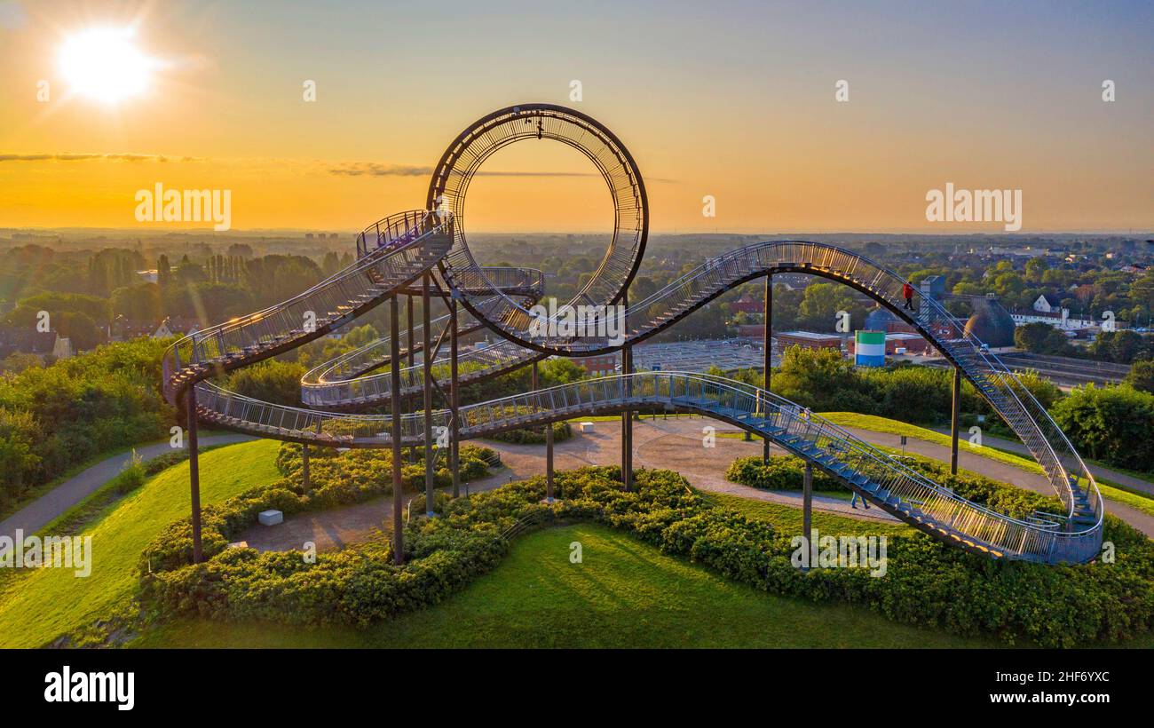 Tiger and turtle magic mountain hi-res stock photography and images - Alamy